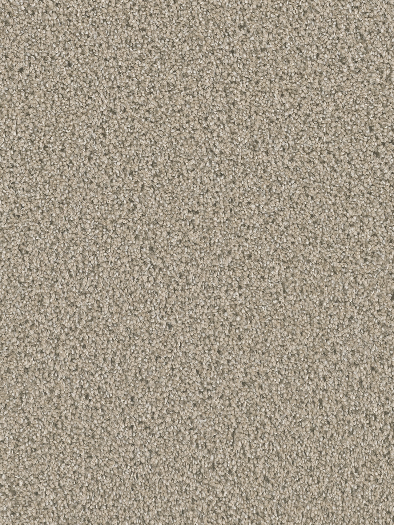 Dazzling – Dream Weaver – Carpet In – Corona, CA Flooring and Carpet Source